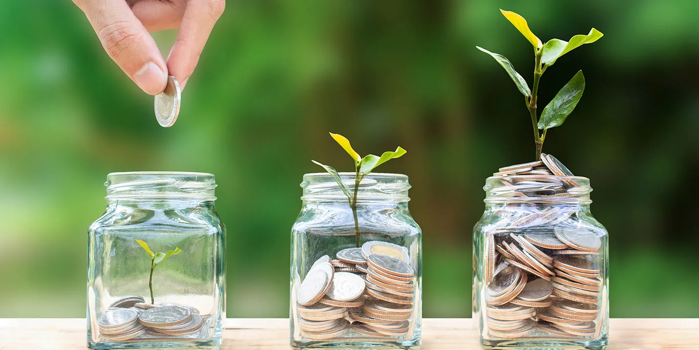 Performance Perspectives: Navigating Sustainable Investing | Envestnet